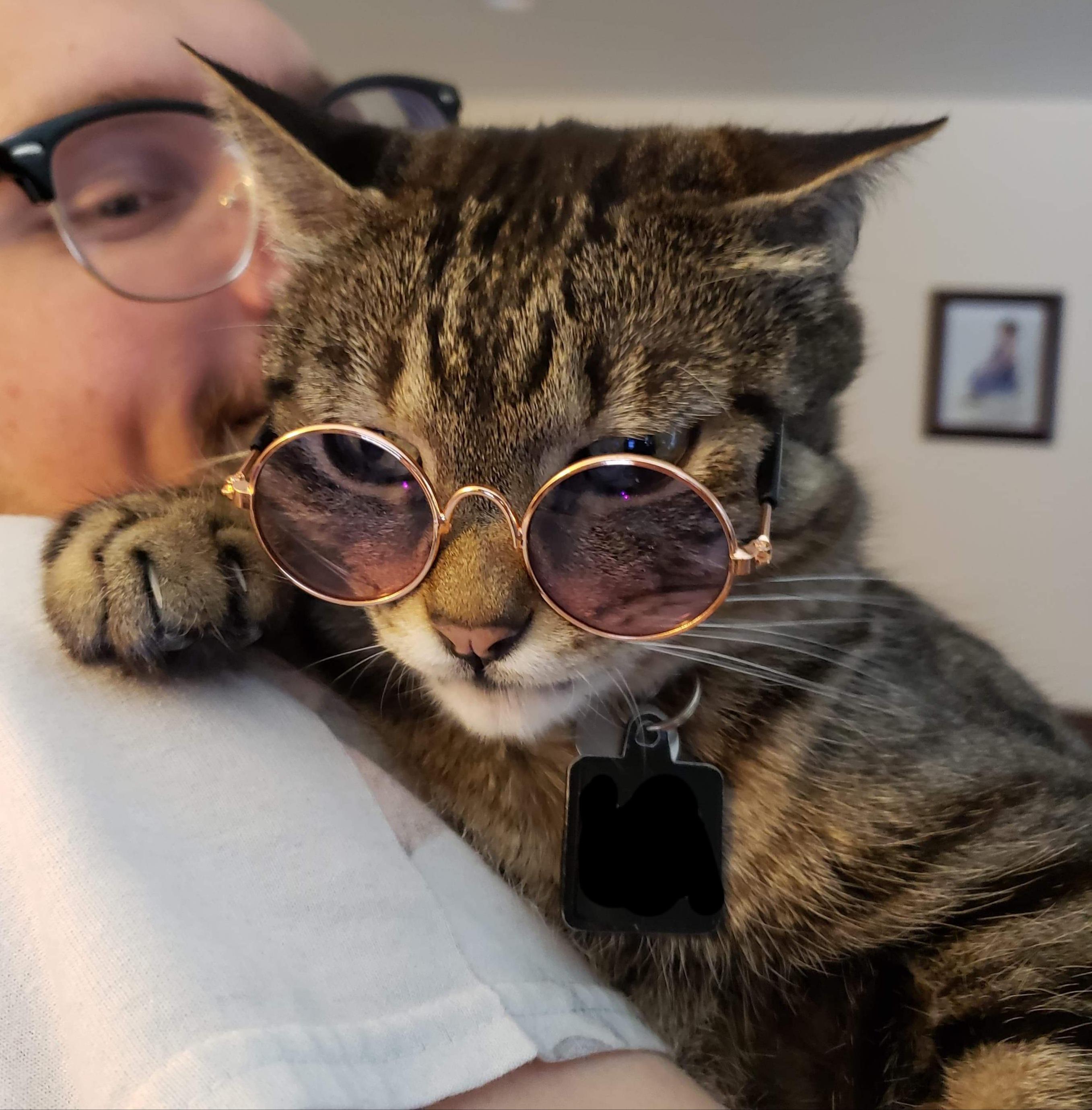 Purrfect model | Scrolller