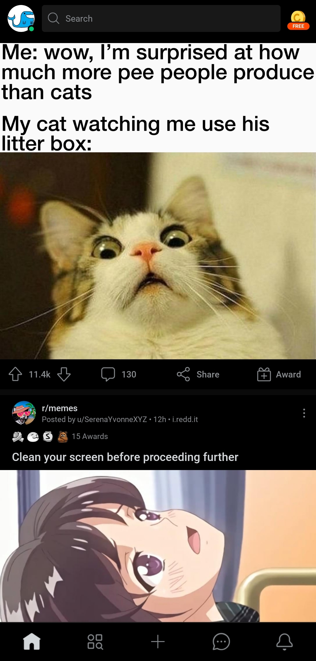 Purrfect placement | Scrolller