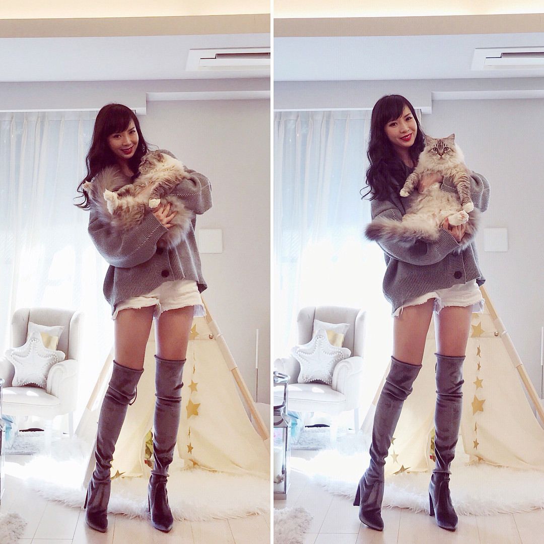 Puss n boots | Scrolller