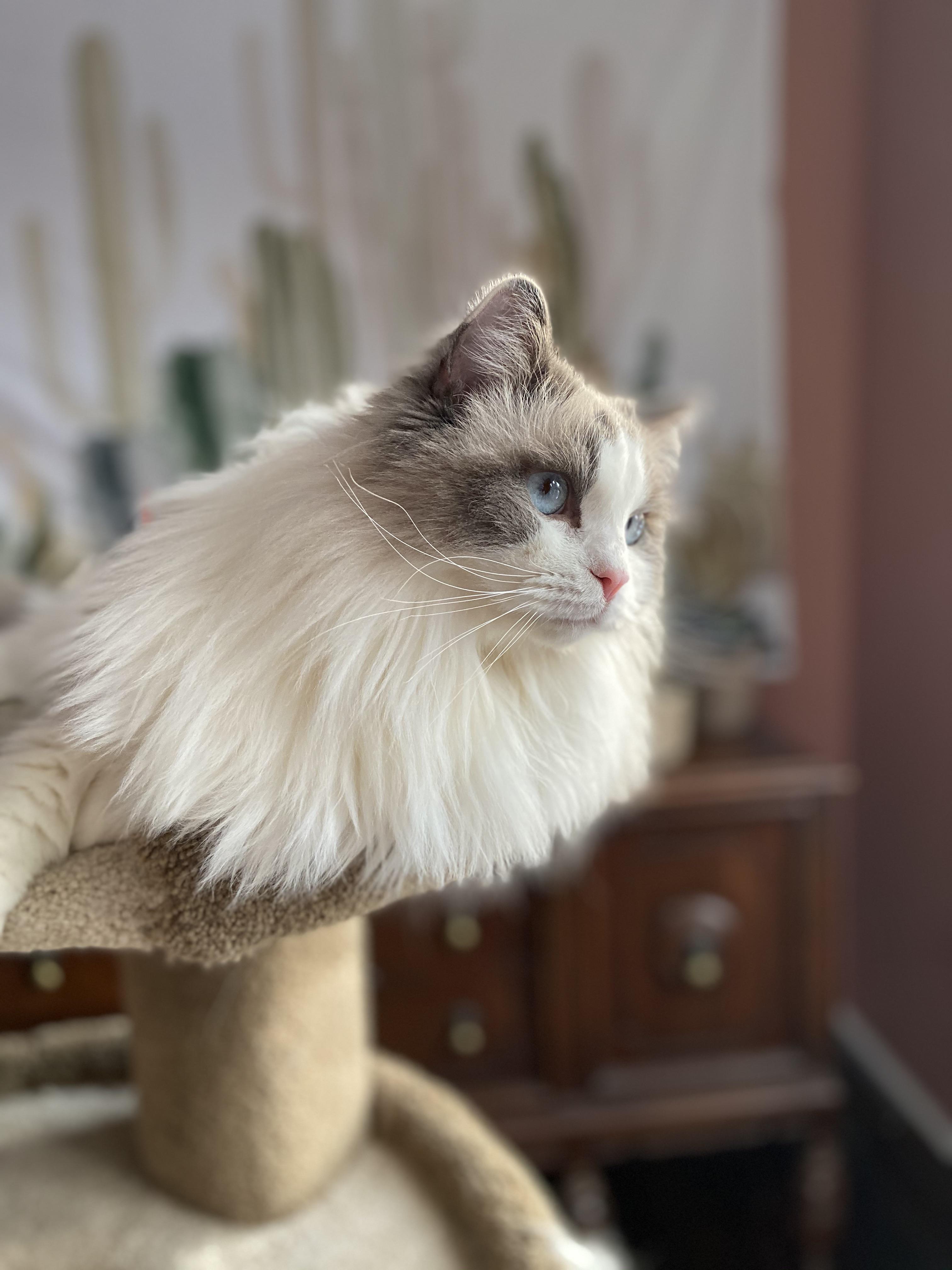 Putting on his winter coat | Scrolller