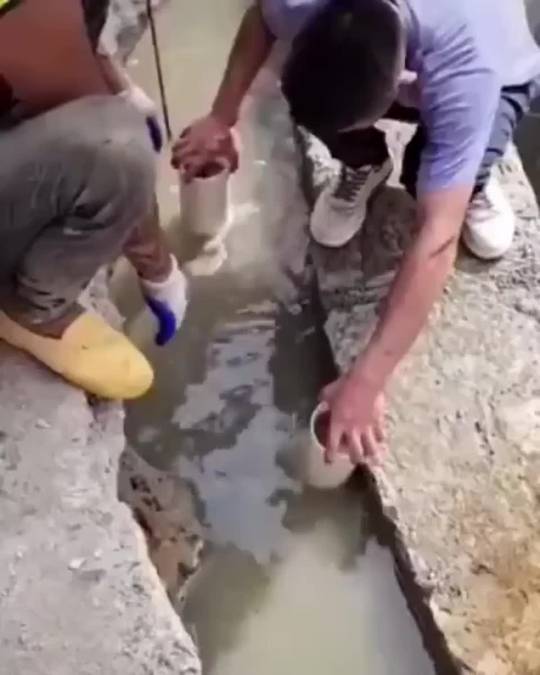 Siphon sleuths | Scrolller