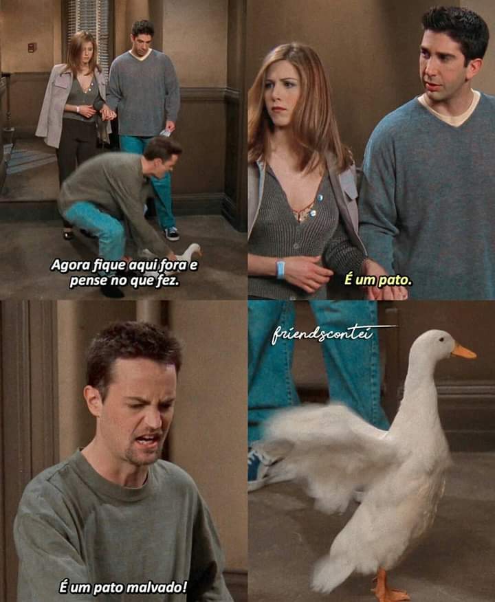 Quando o pato papão fala palavrão D: | Scrolller