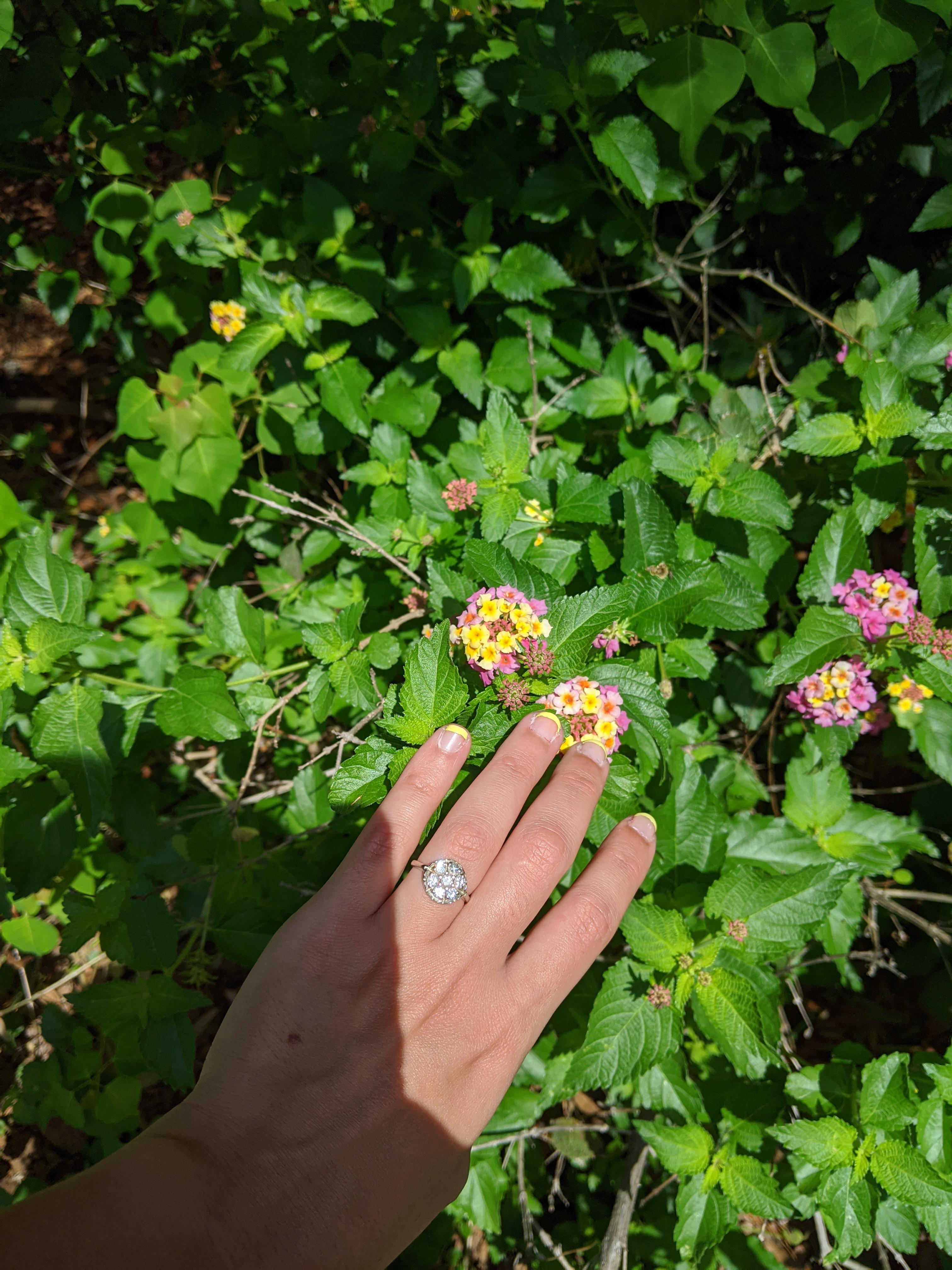 Quarantine engagement with his family's heirloom floral ring 💖🤧🌼 | Scrolller