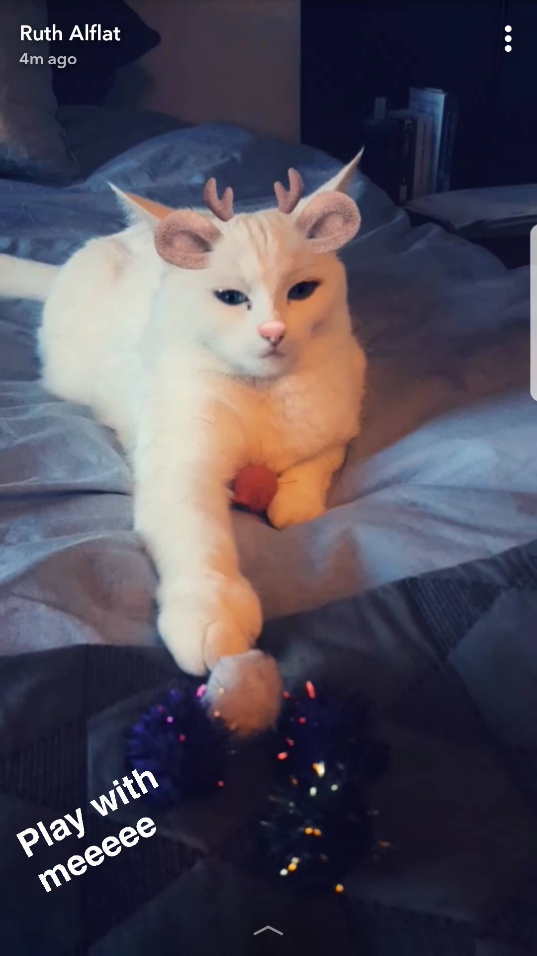 Queen of the enchanted forest | Scrolller