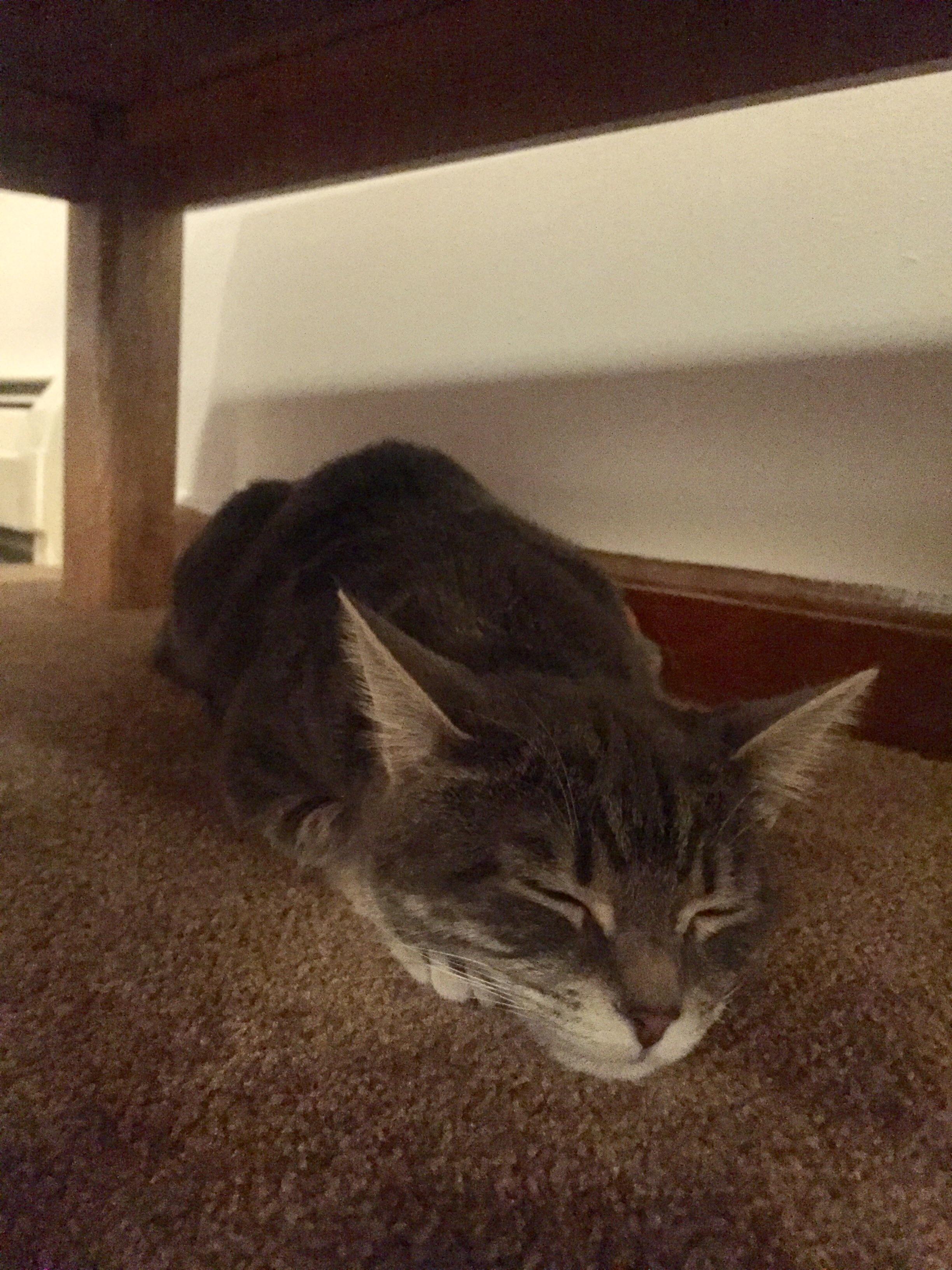 Quick nap before takeoff | Scrolller