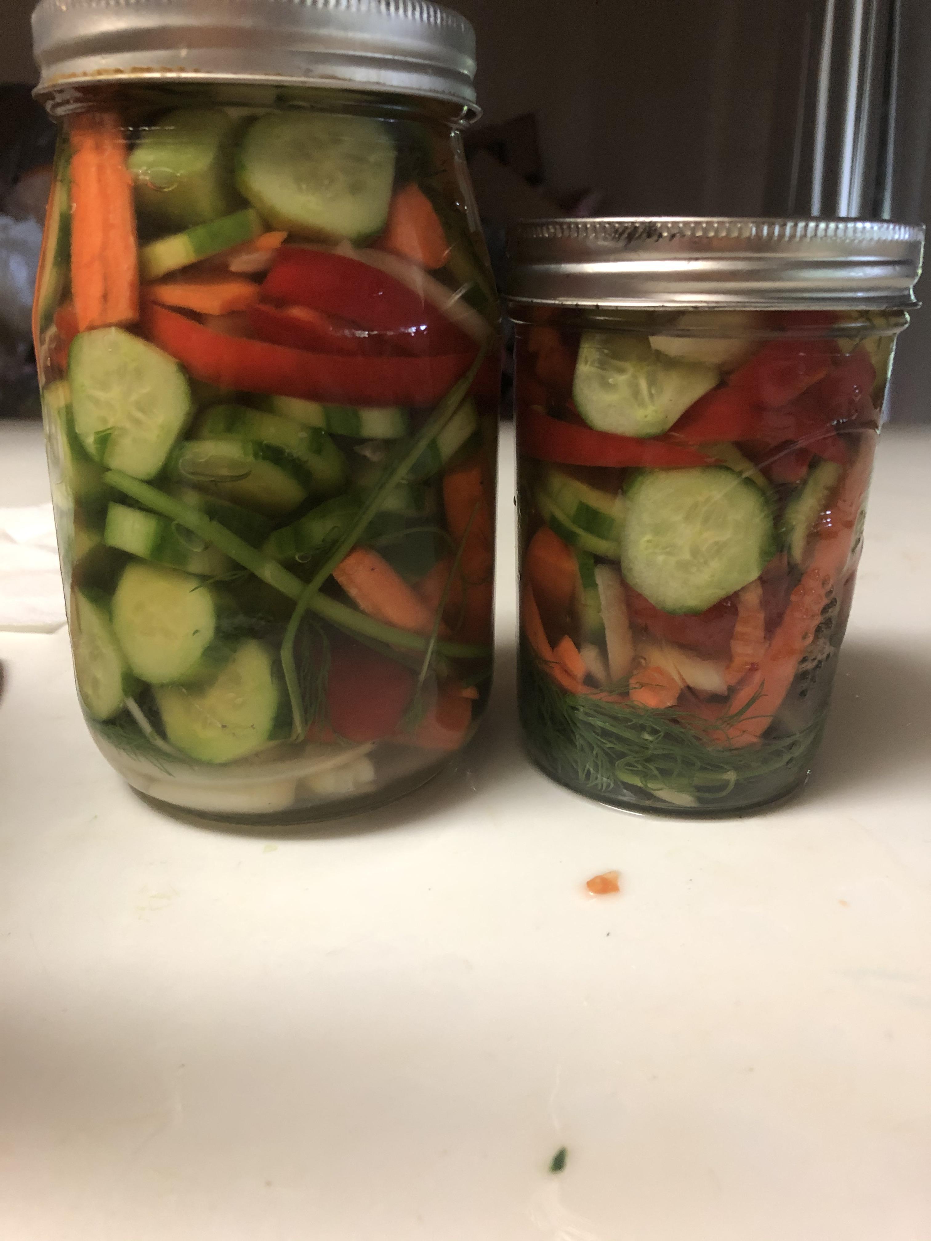 Quick pickled some left over garden veggies before they went bad. | Scrolller