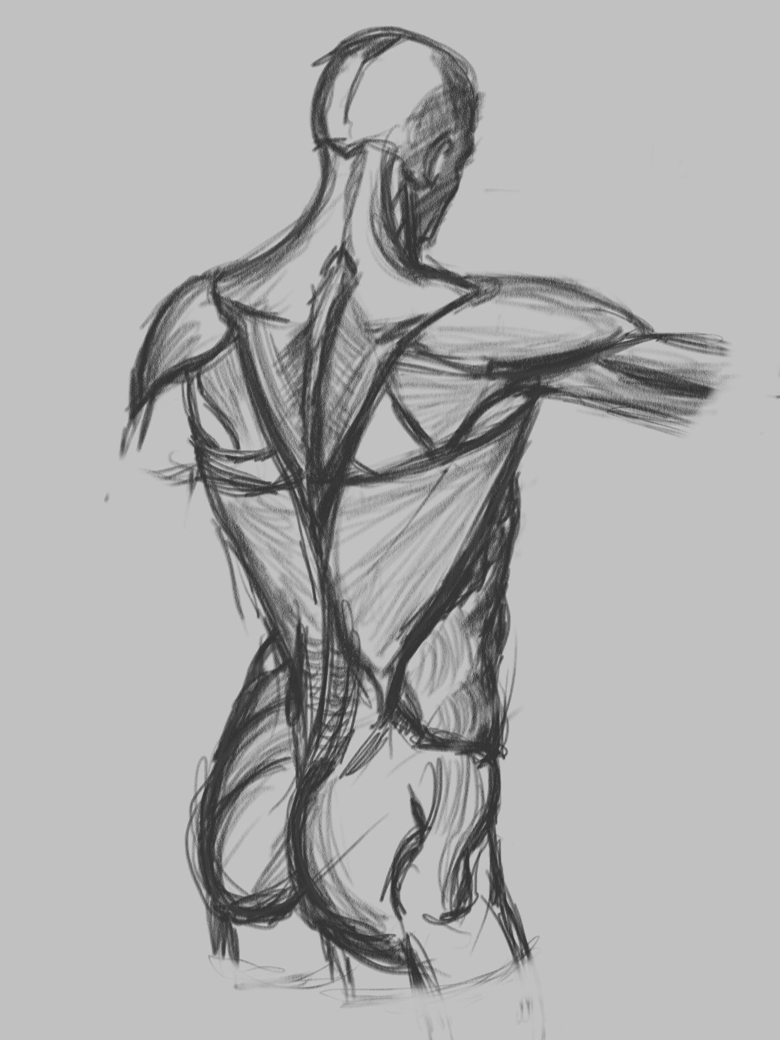 Quick study | Scrolller