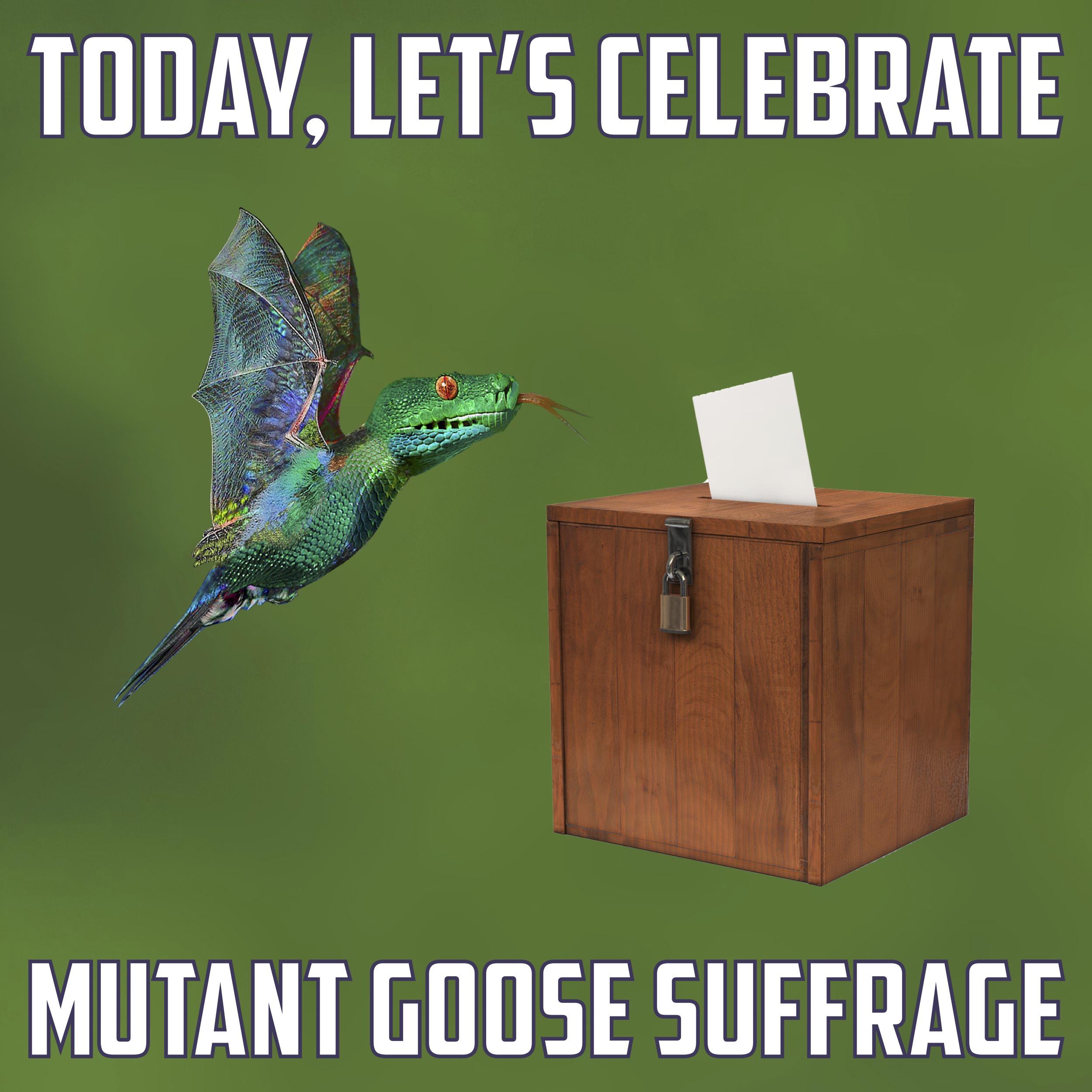 R E J O I C E | Scrolller