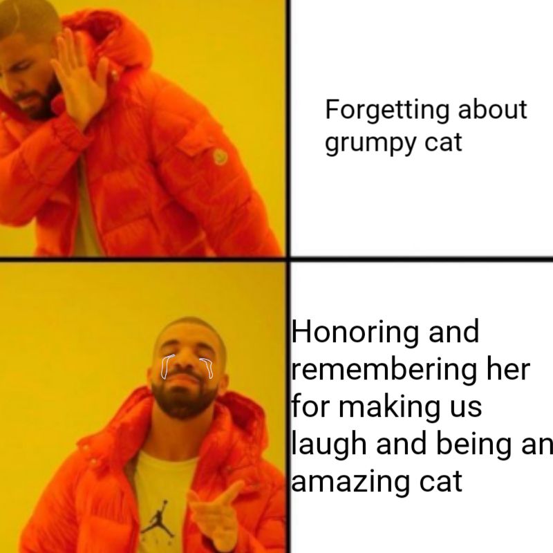 R. I. P Grumpy Cat | Scrolller