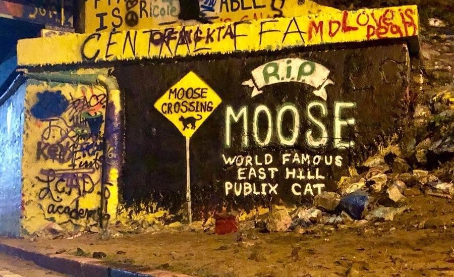 R.I.P. Moose | Scrolller