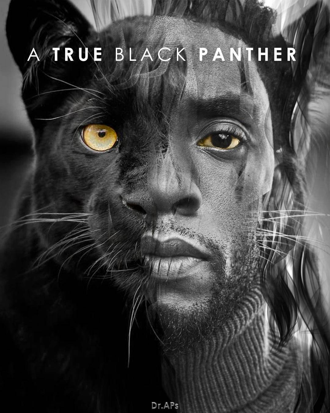 R.I.P. our Black Panther | Scrolller