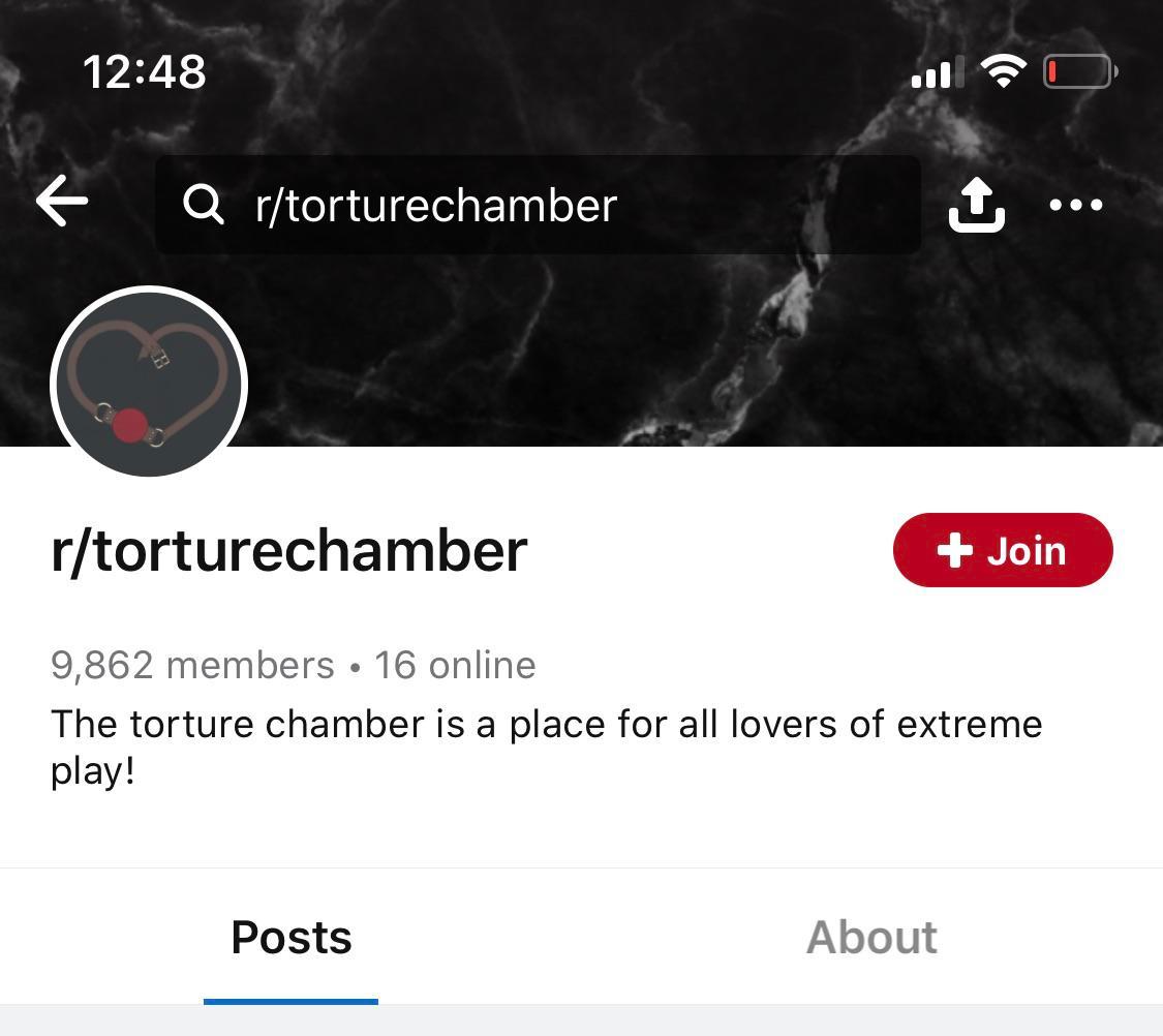 r/torturechamber- a subreddit literally dedicated to showcasing extreme abuse and kink. BIG TW ...