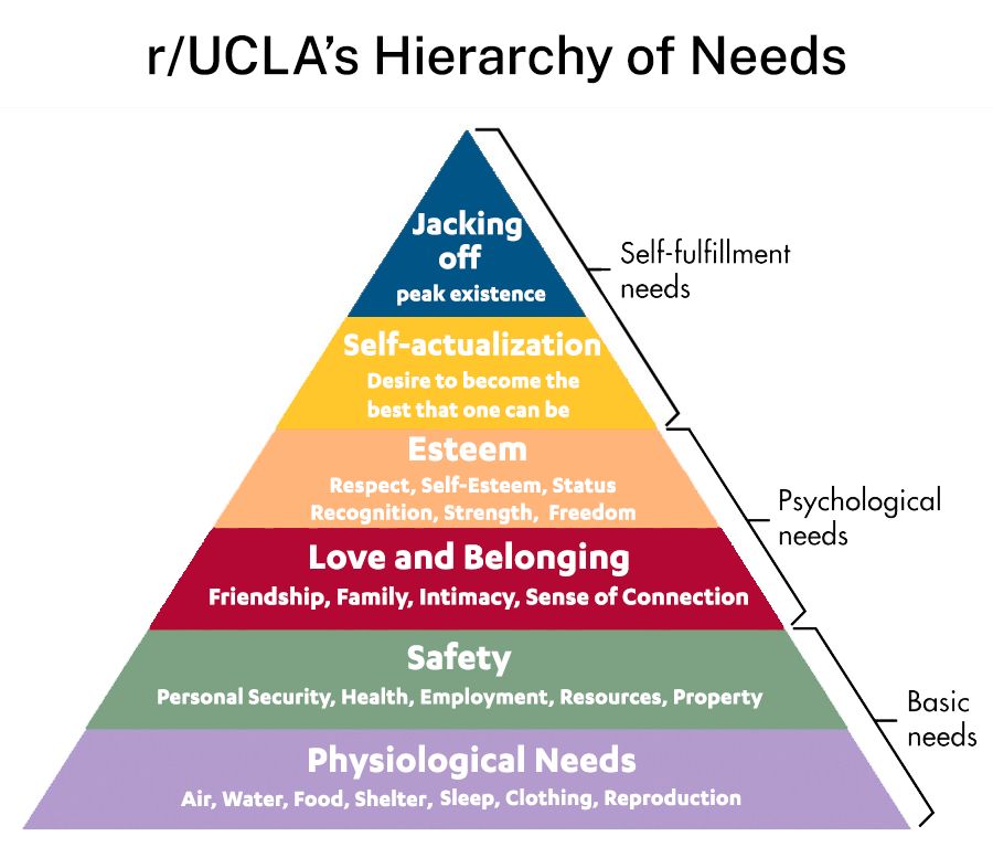 r/UCLA's Hierarchy of Needs | Scrolller