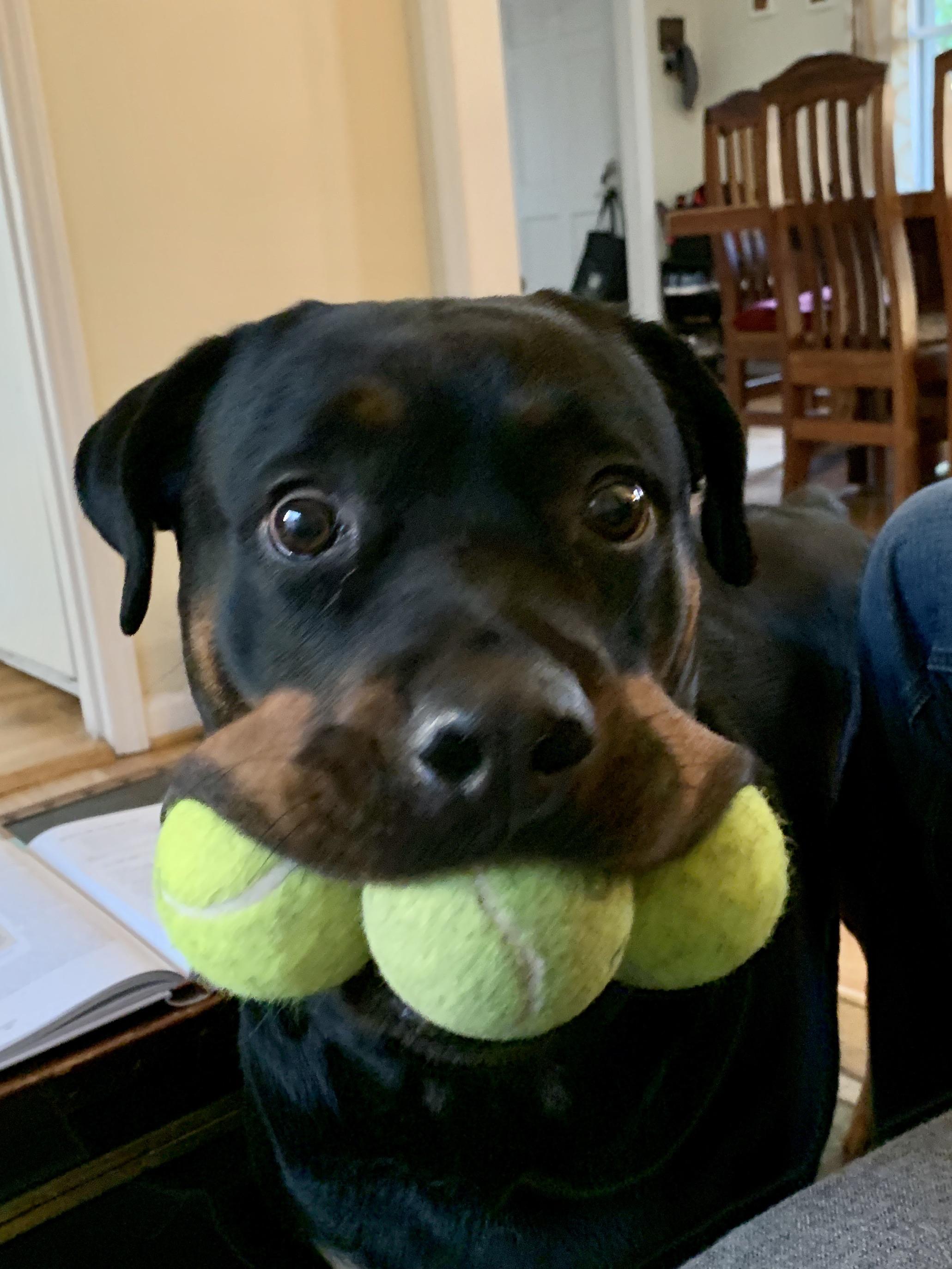 Raina has mastered the three ball carry. | Scrolller