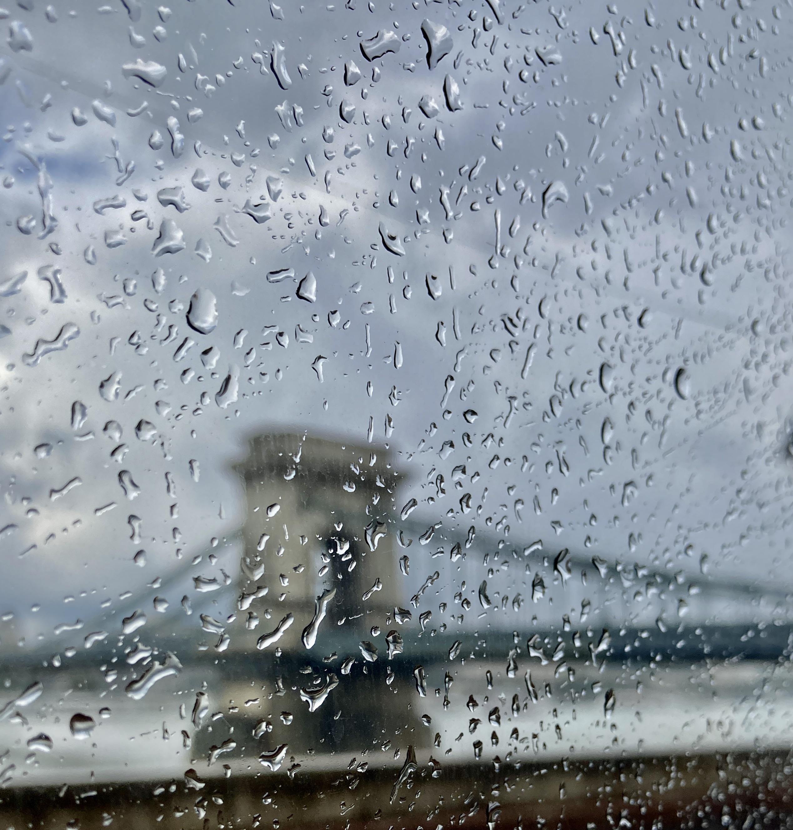 Rainy day | Scrolller