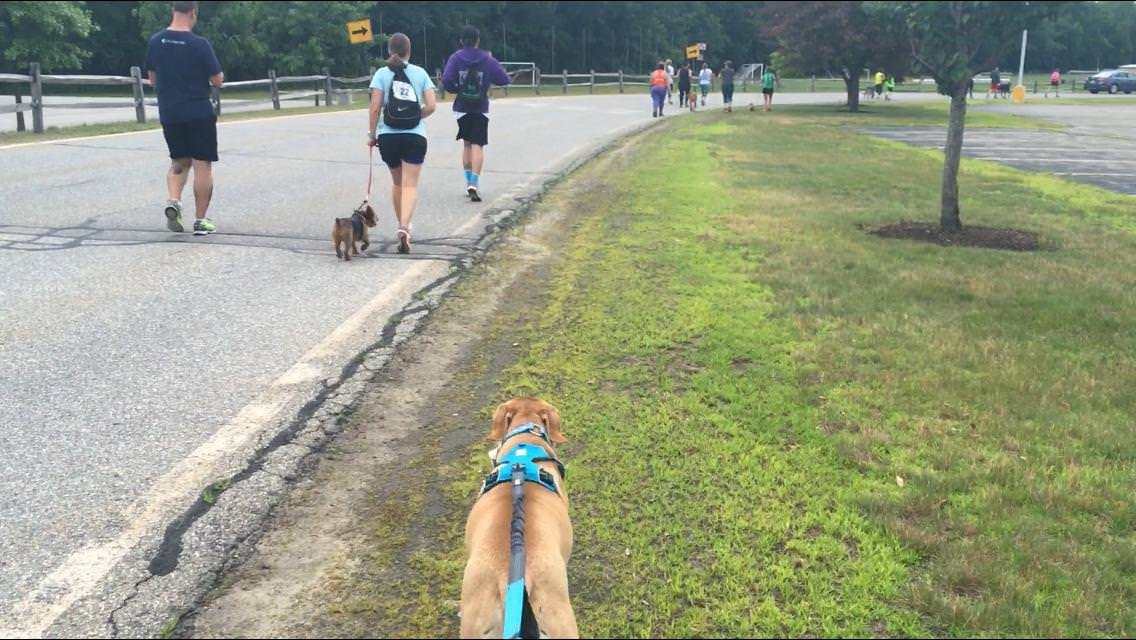 Ran our first 5k together. I have never had so much fun running!! | Scrolller