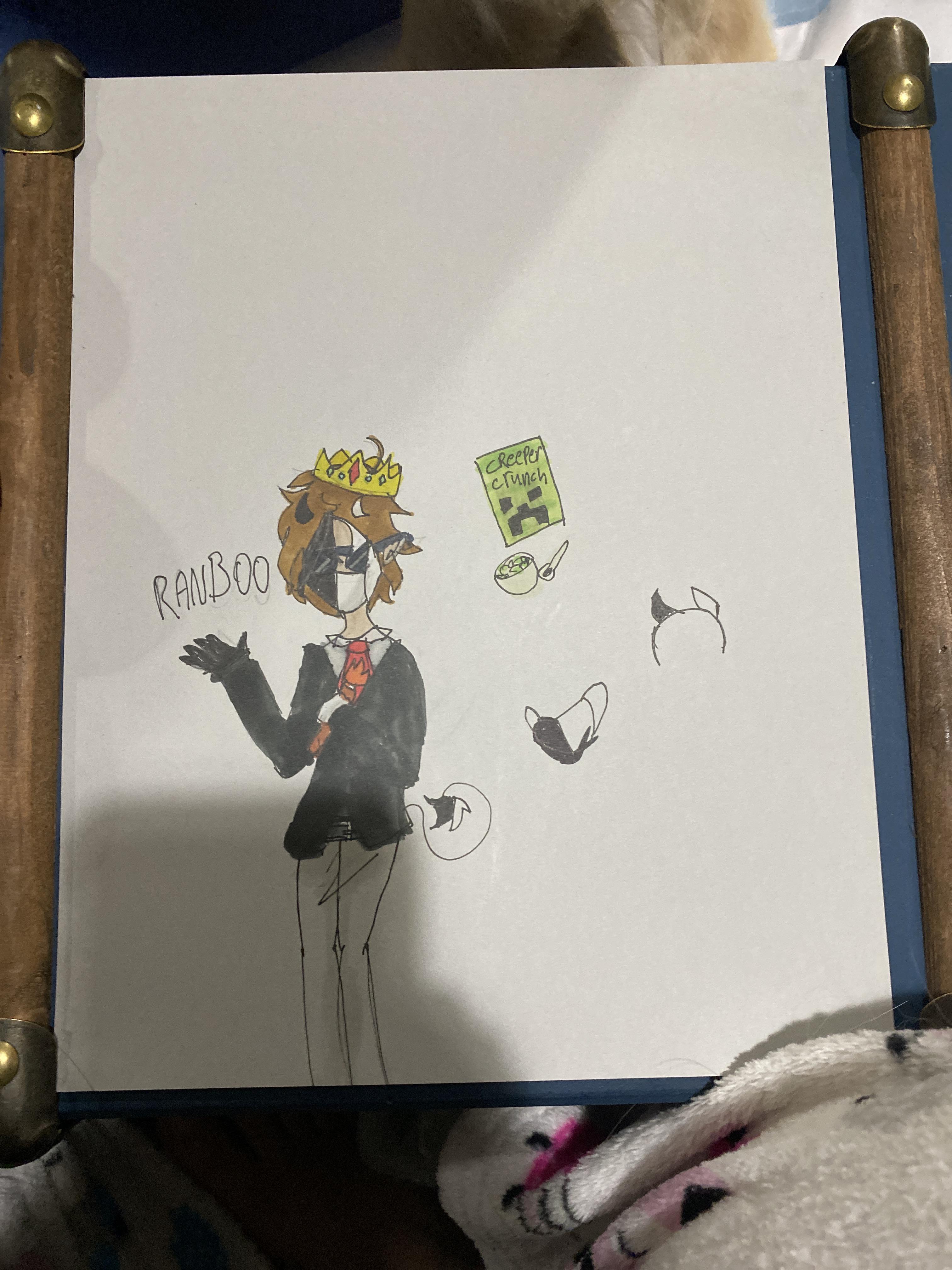 Ranboo fanart | Scrolller