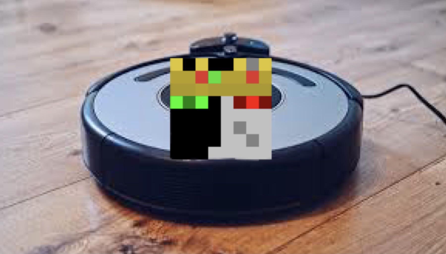 Ranboo=Roomba? | Scrolller