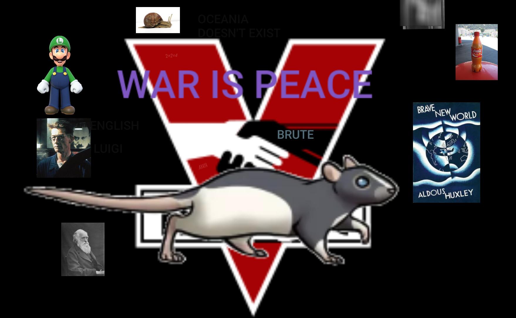 Random Content Scrolller