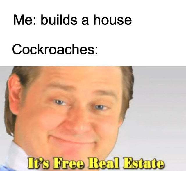 Random Meme I made | Scrolller