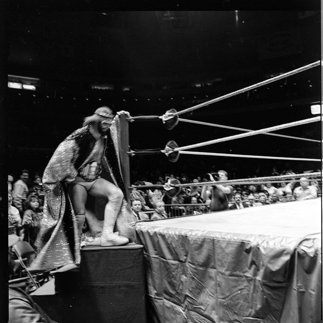 Randy "Macho Man" Savage 🖤 | Scrolller