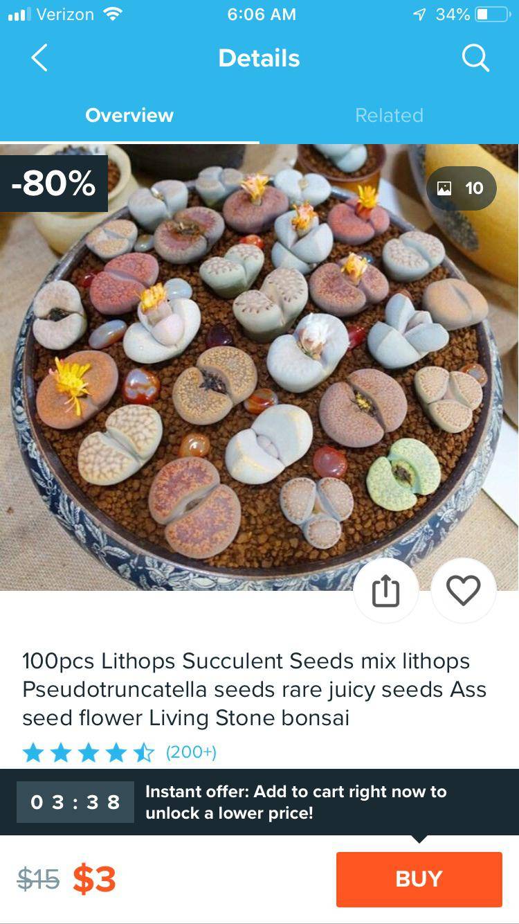 Rare juicy ass seeds | Scrolller