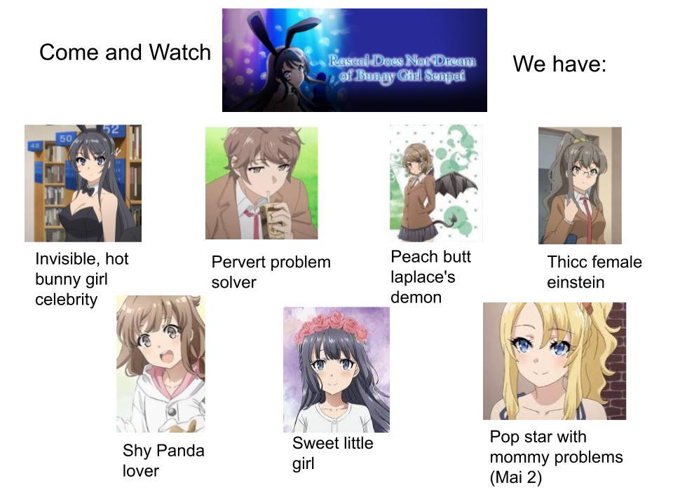 Rascal Does Not Dream of Bunny Girl Senpai | Scrolller