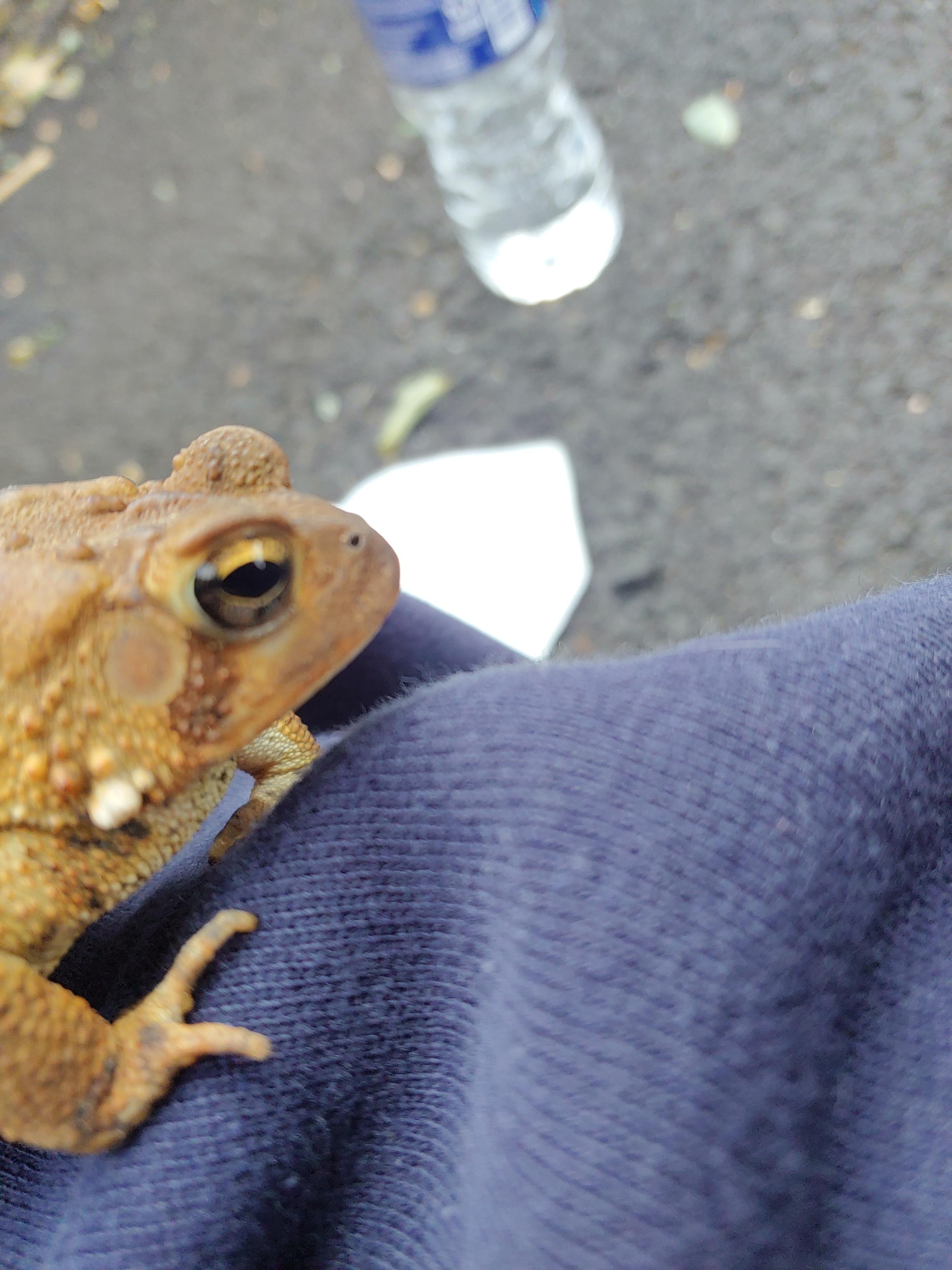 Rate my dumb fuck | Scrolller