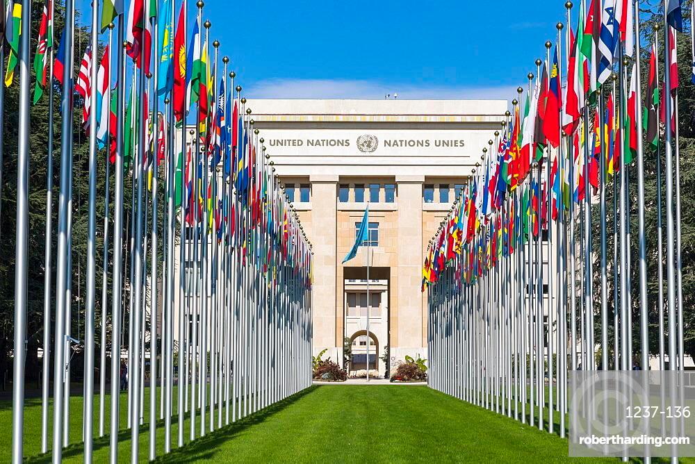 Rate my language learning setup | Scrolller