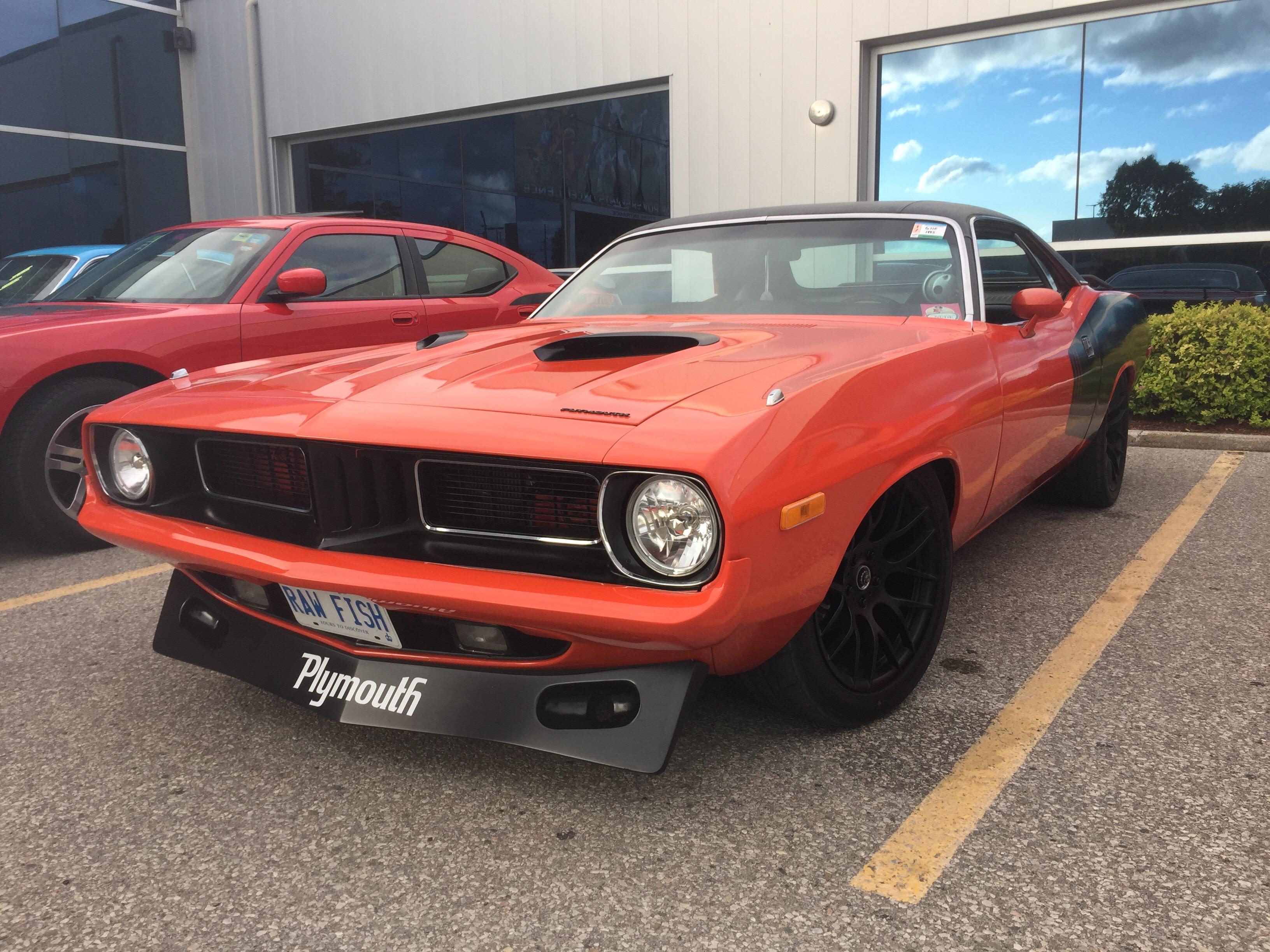 Raw Fish (Barracuda) | Scrolller