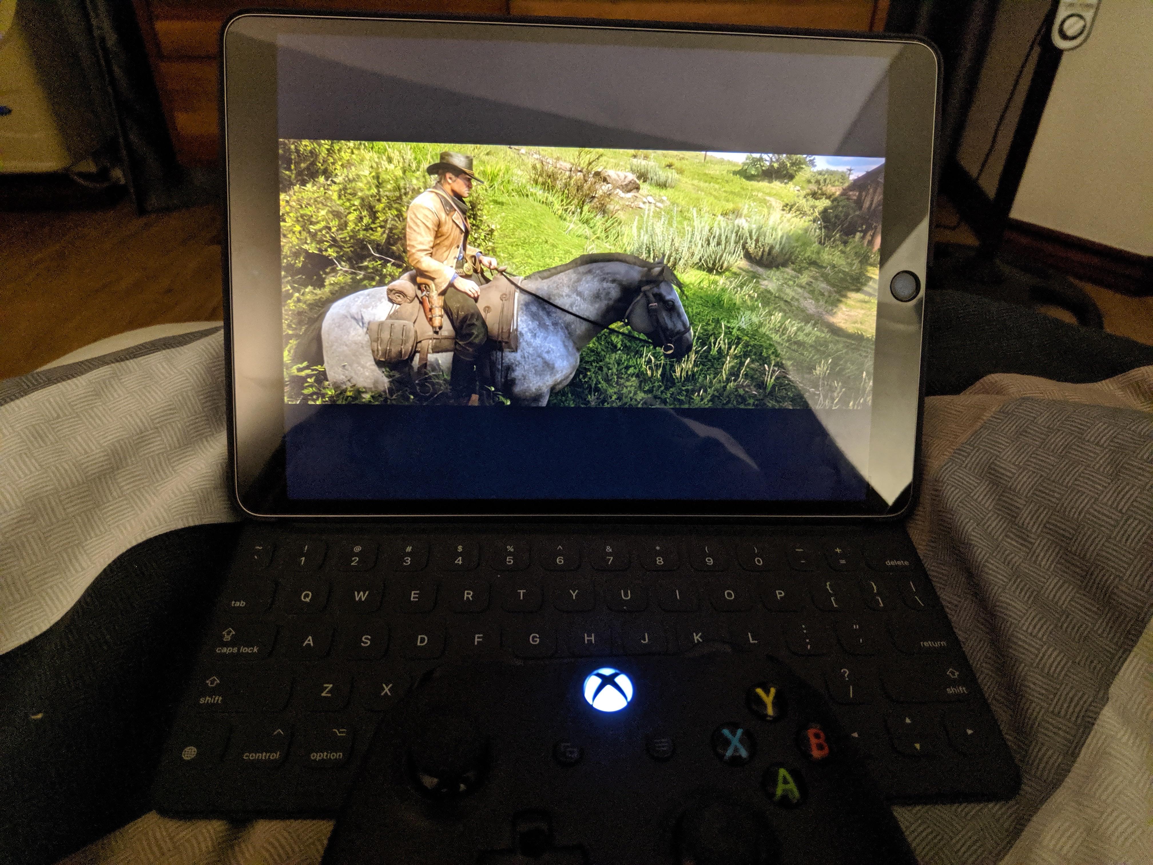 RDR2 streaming to iPad | Scrolller
