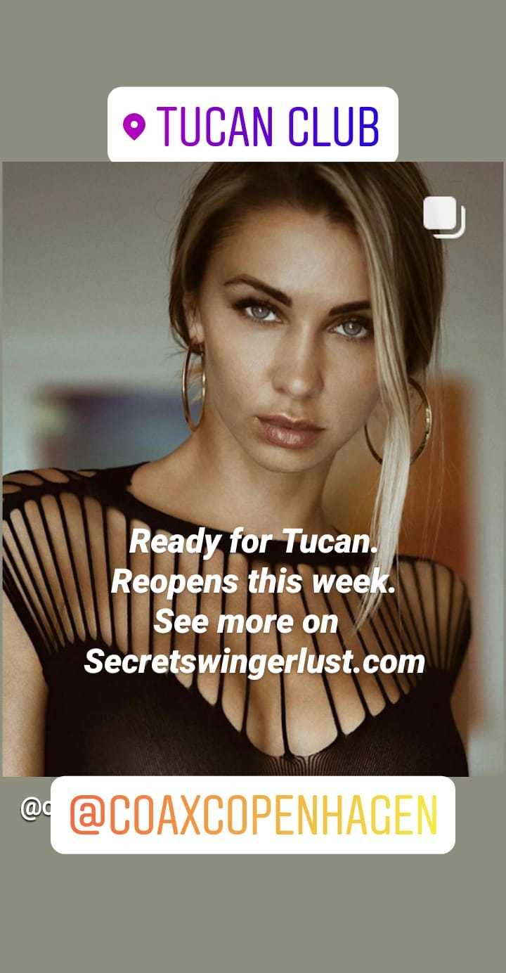 Ready for a wild night in Denmark? | Scrolller