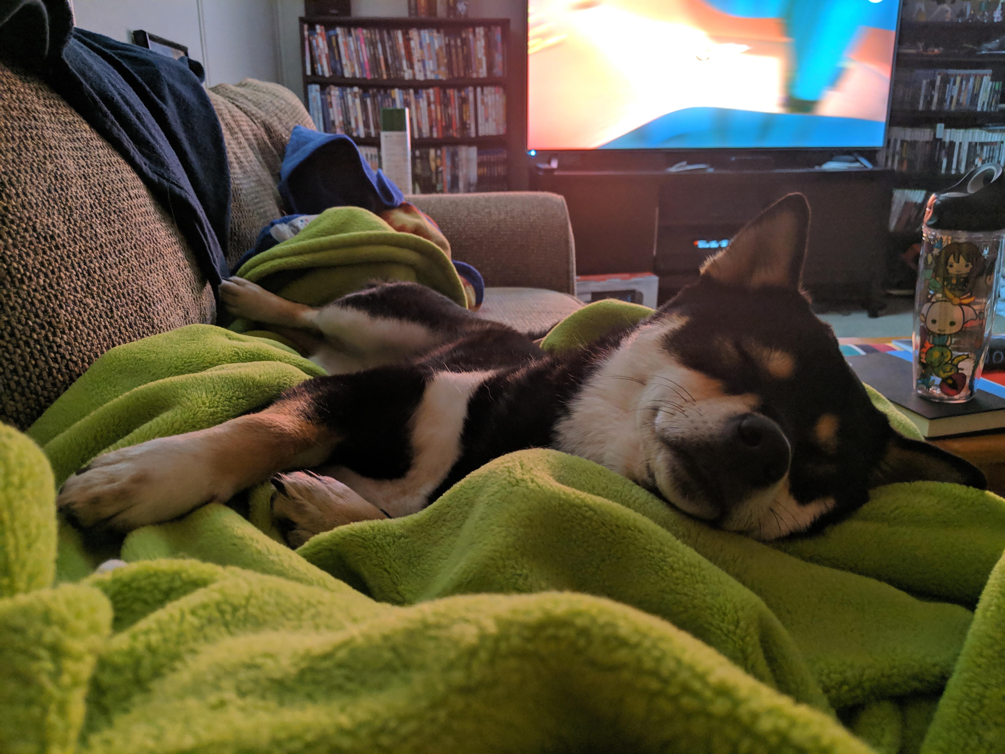 Ready for more snuggle time this weekend! | Scrolller