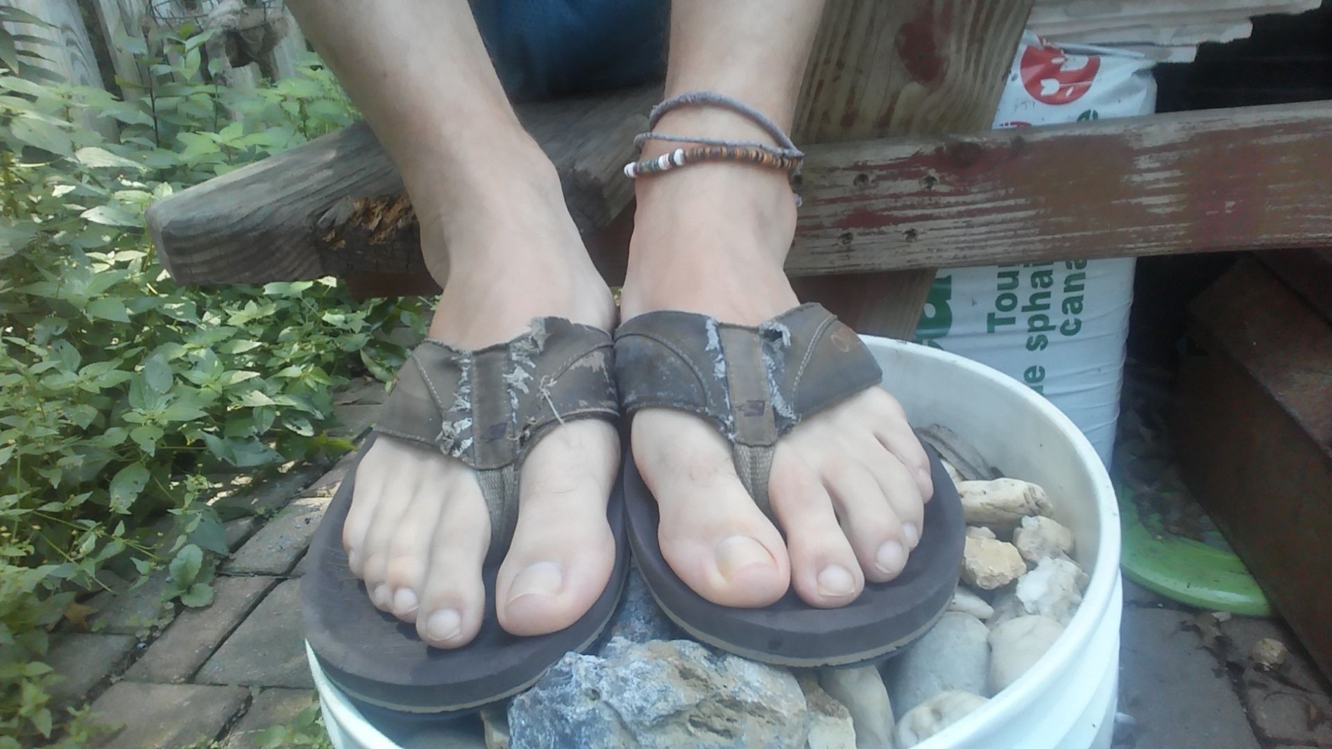 Ready for my tongue bath, boy! | Scrolller