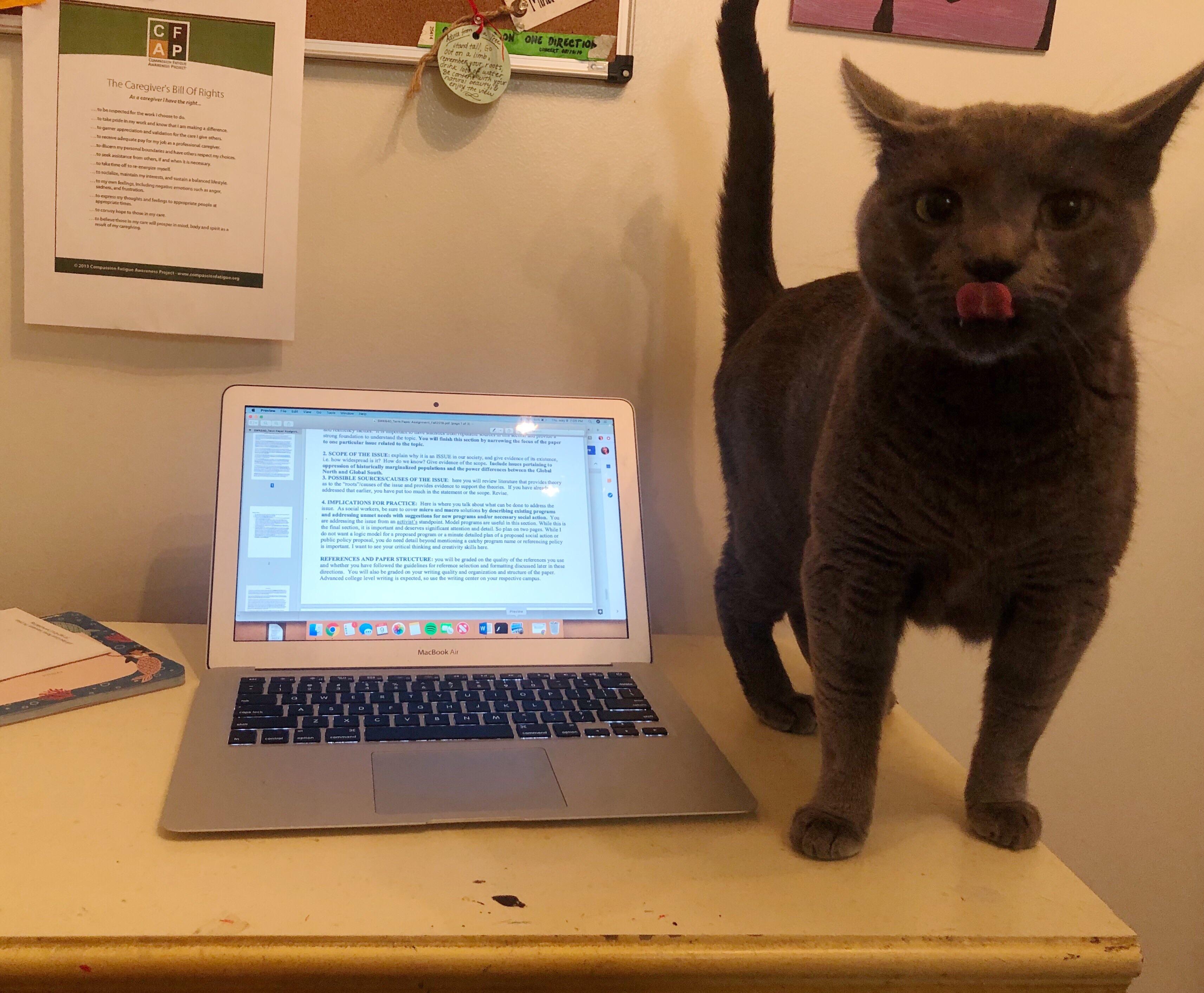 Ready for take off but still being goofy | Scrolller