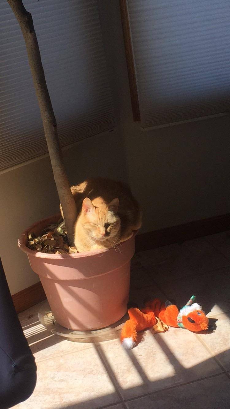 Ready to pick | Scrolller