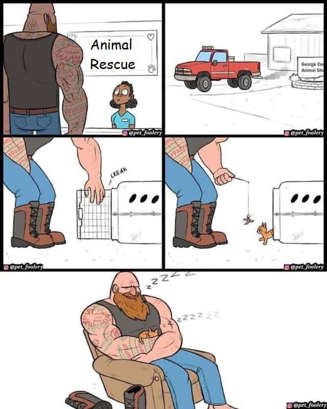 Real Men | Scrolller