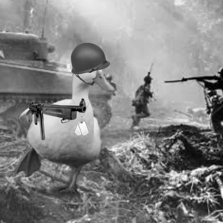 Real photos of the duck in ww2 :O | Scrolller