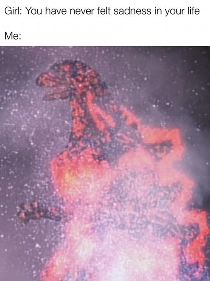 Real sadness | Scrolller