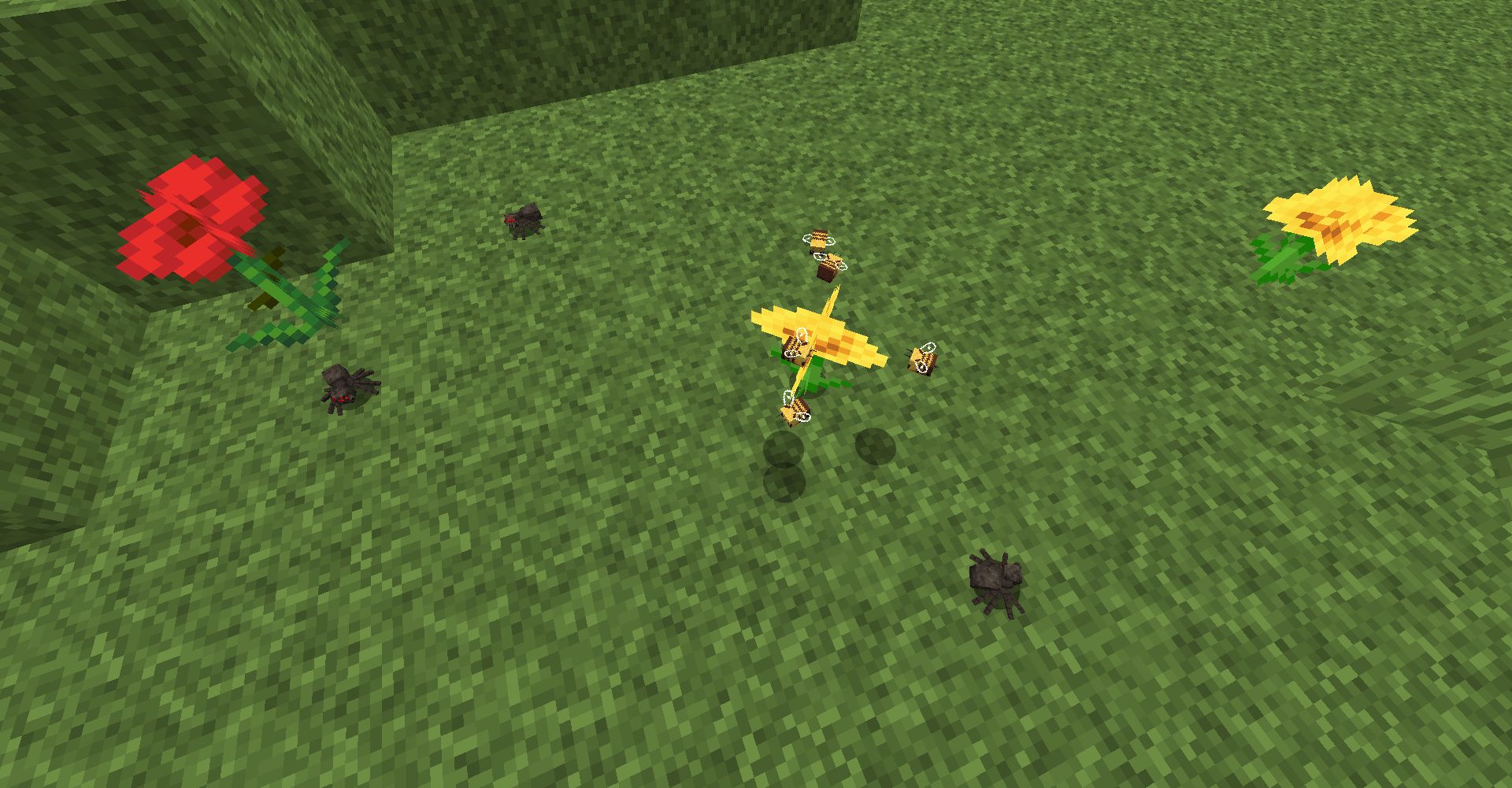 Real size bees and spiders | Scrolller