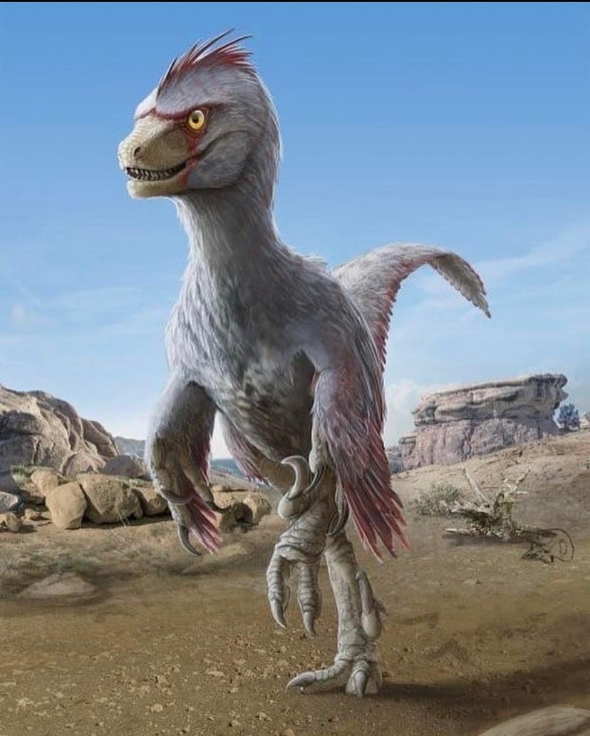 Realistic Raptor | Scrolller