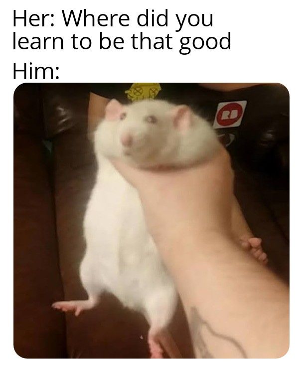 Really big pp meme | Scrolller