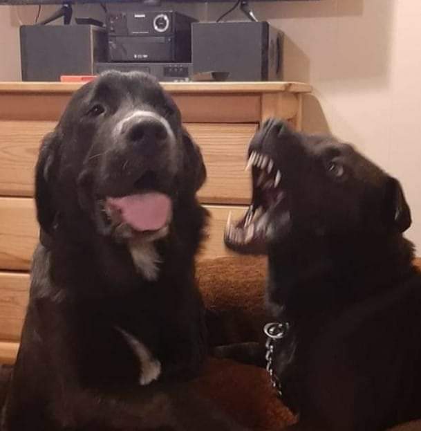 Really bro? | Scrolller