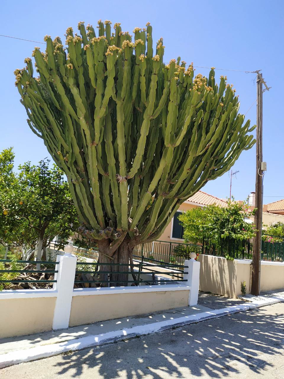 Really impressive! | Scrolller