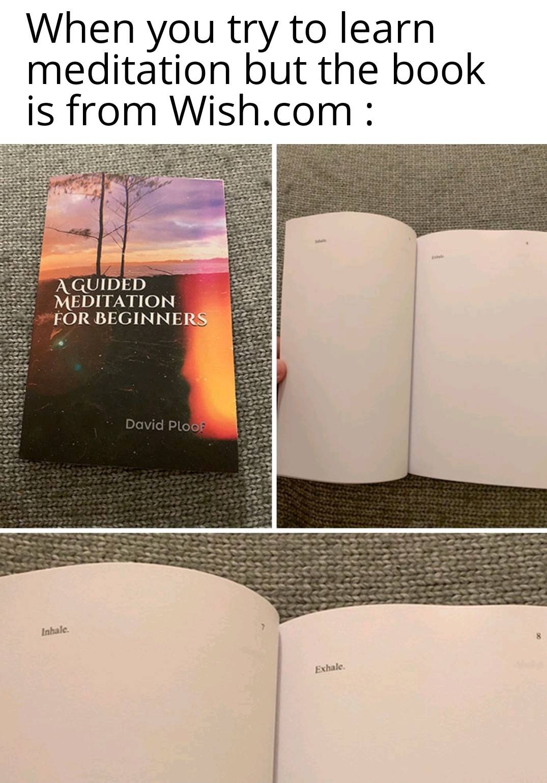 Really informative | Scrolller