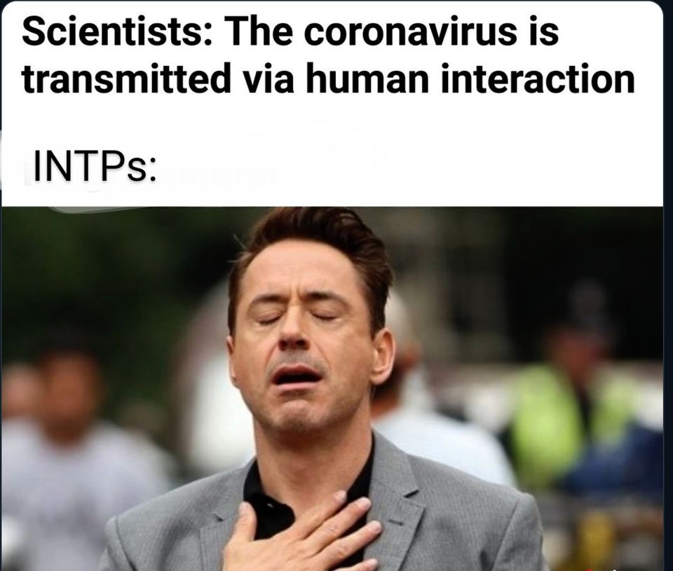 "Rebranded" from r/programmerhumor | Scrolller