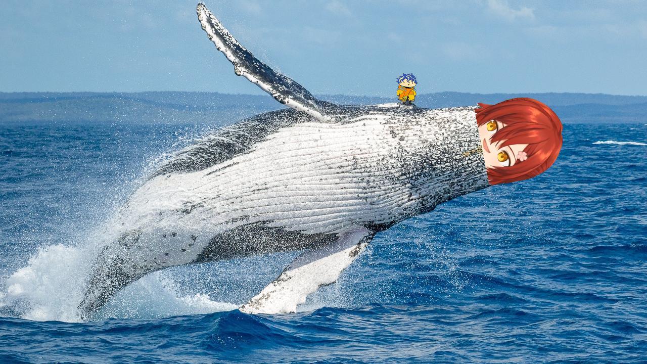 Records of Asteri: "Whale" | Scrolller