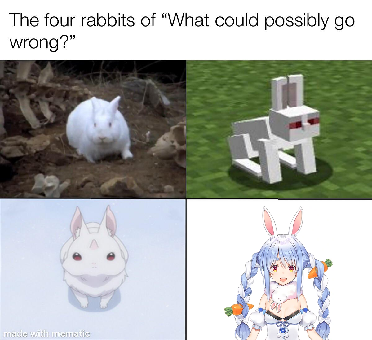 Red-Eyes White Rabbit | Scrolller