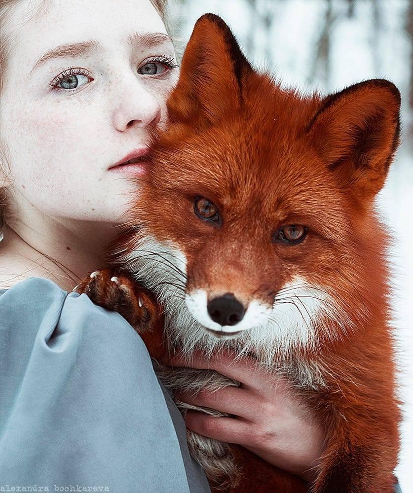 Red heads and foxes