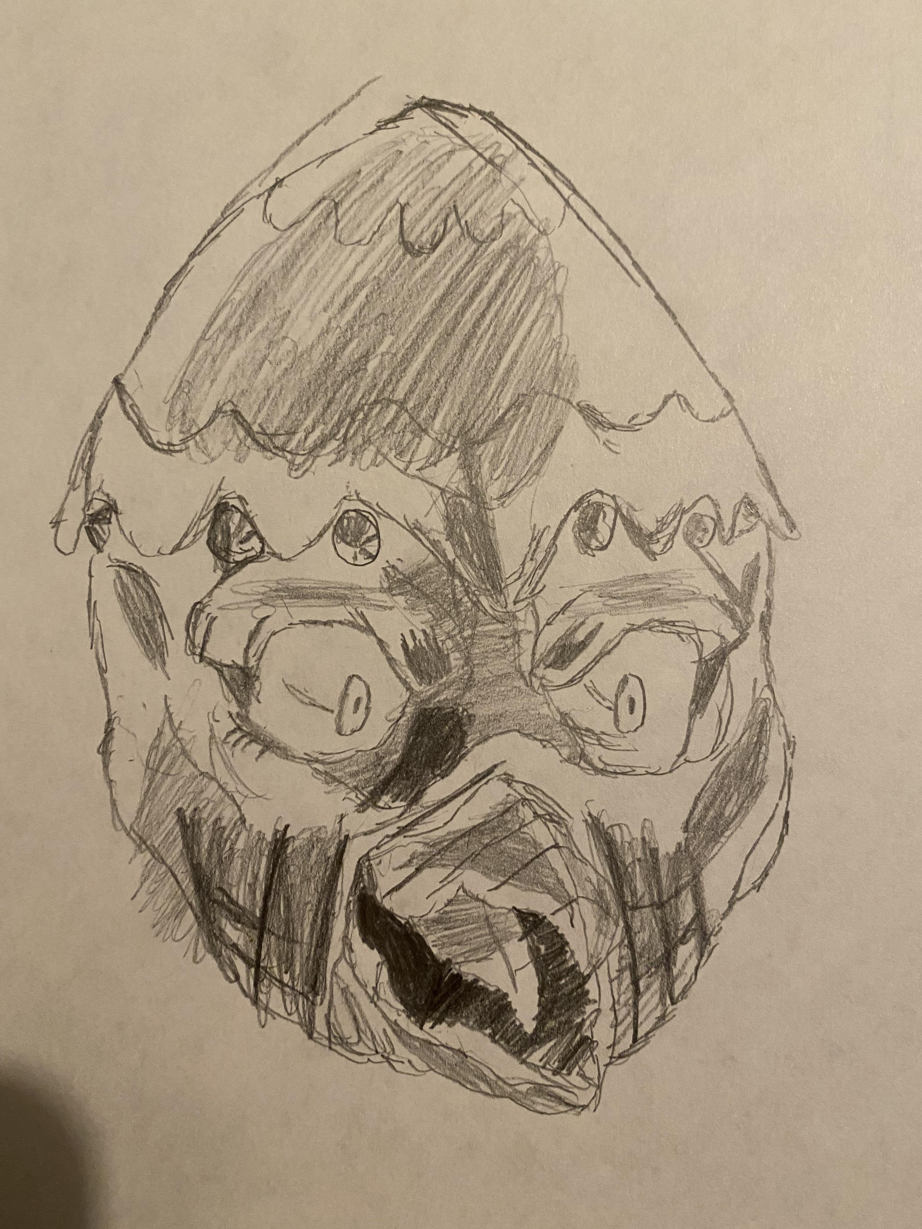 Red hot chili pepper | Scrolller